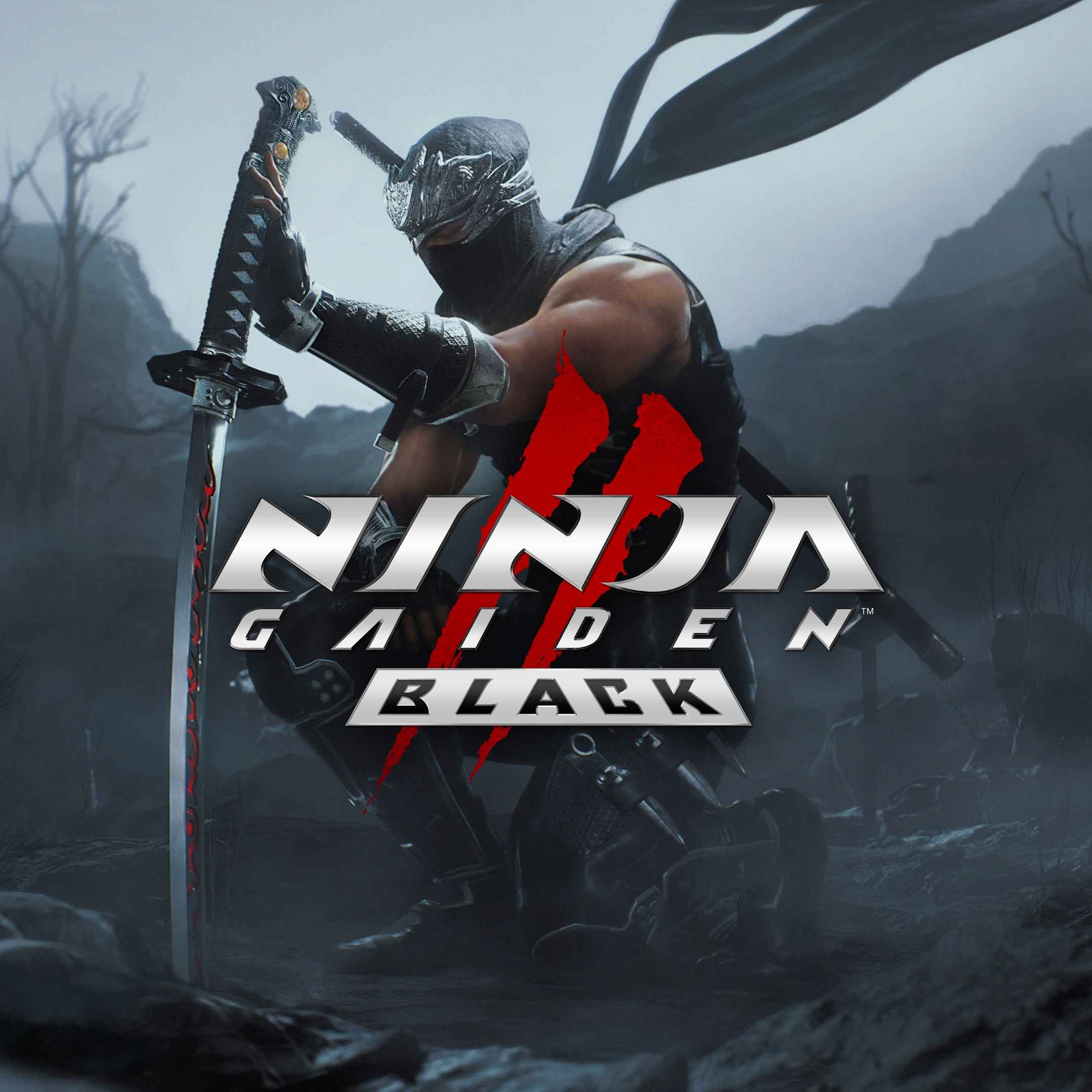 Купить NINJA GAIDEN 2 Black — ключ Steam на ПК от 3054₽ | IGM.GG